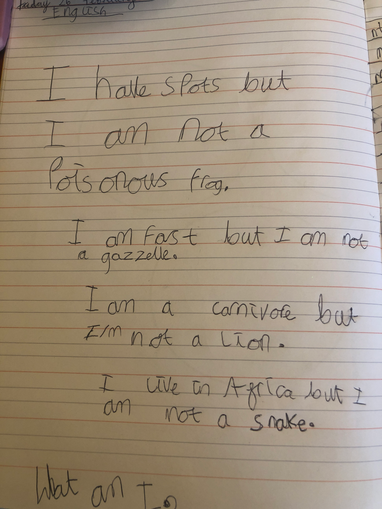 Remarkable Riddle Writing in Birch Class - St Michael’s School Aldbourne