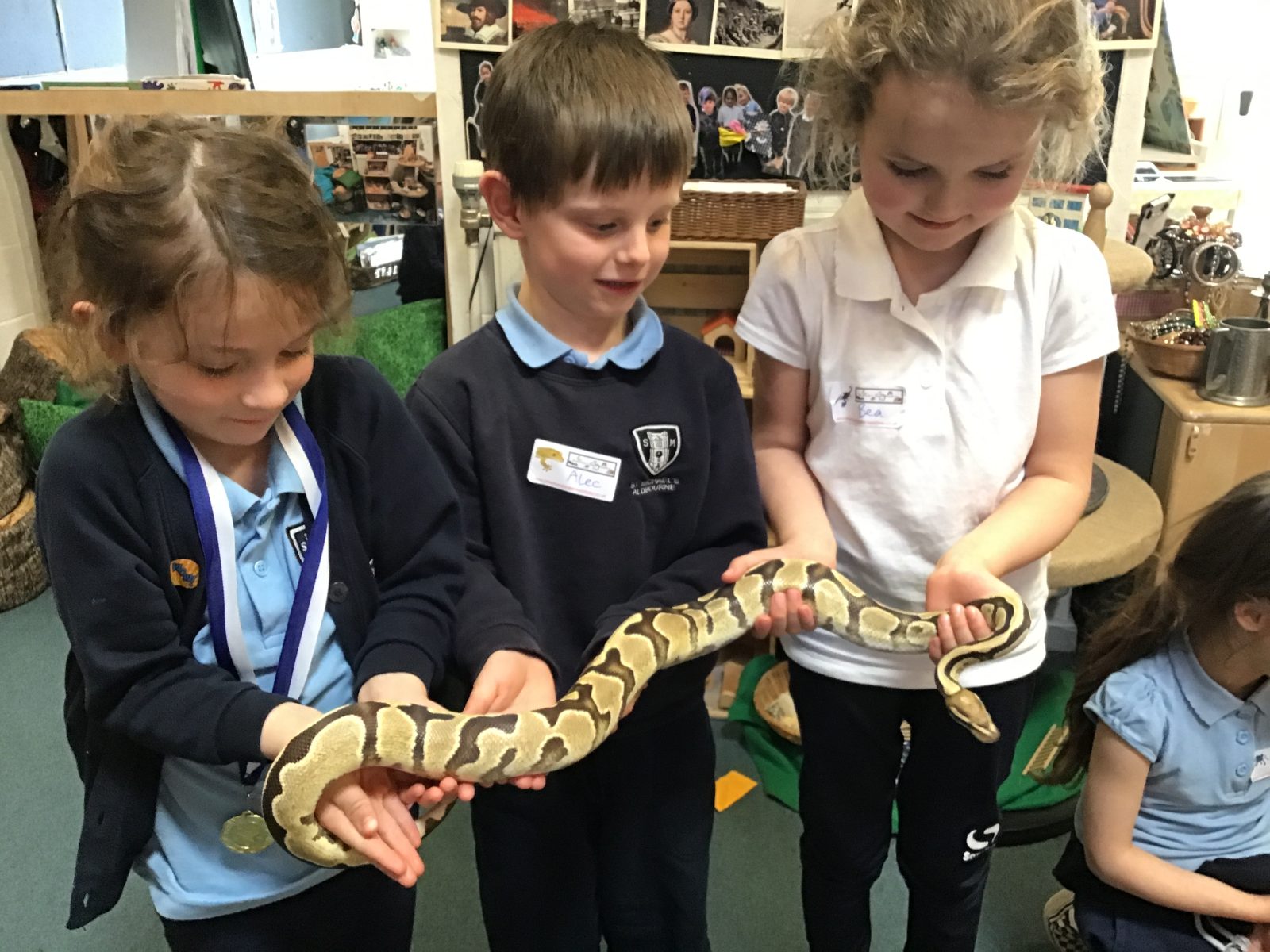 Jungle Creatures in Acorn, Hazel and Birch – St Michael’s School Aldbourne