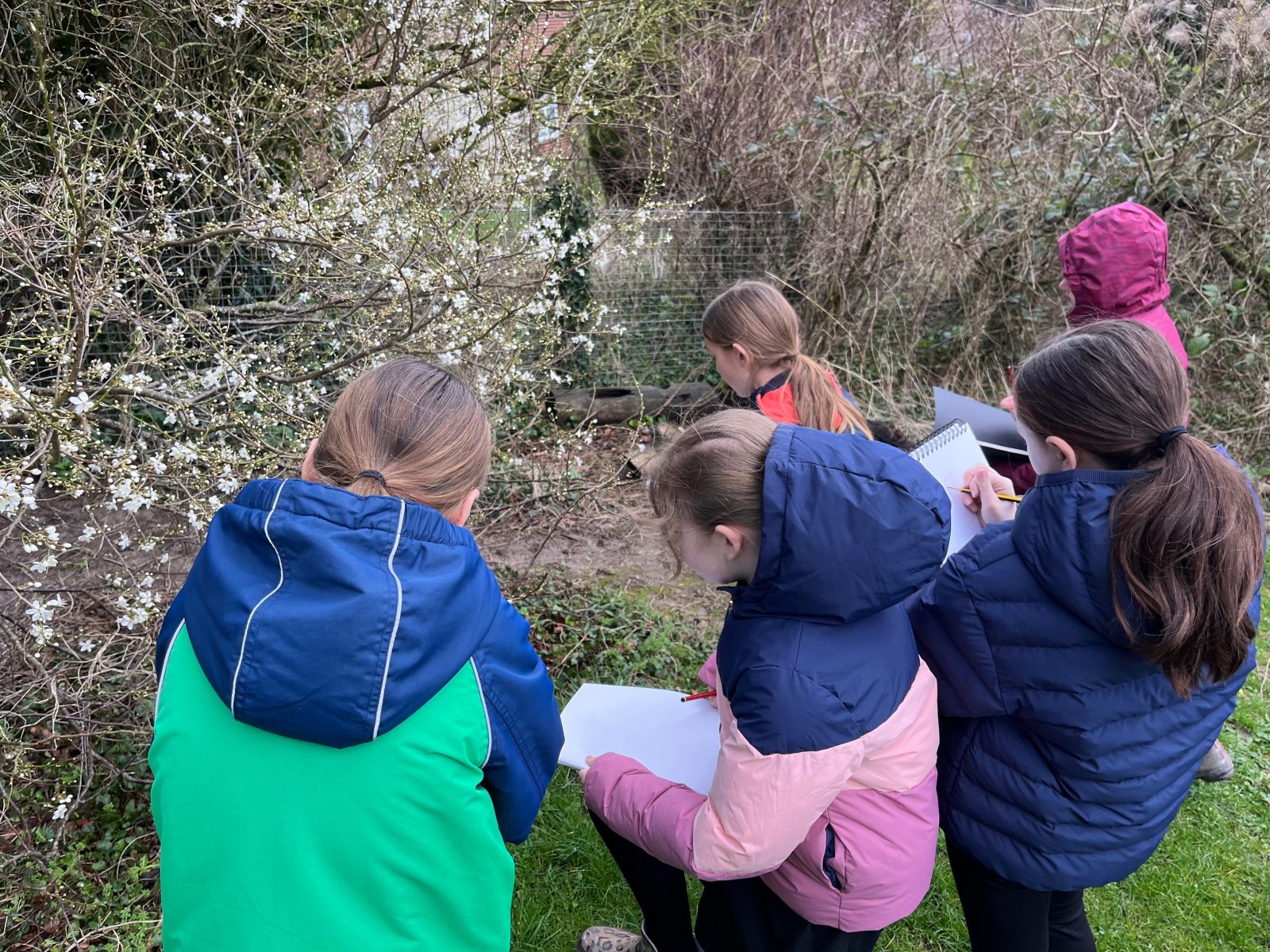Rowan Class: Outdoor Art! – St Michael’s School Aldbourne